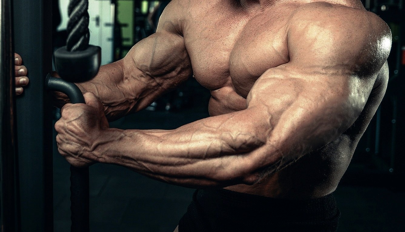 Training forearms, the neglected muscle group - fitguide.blog