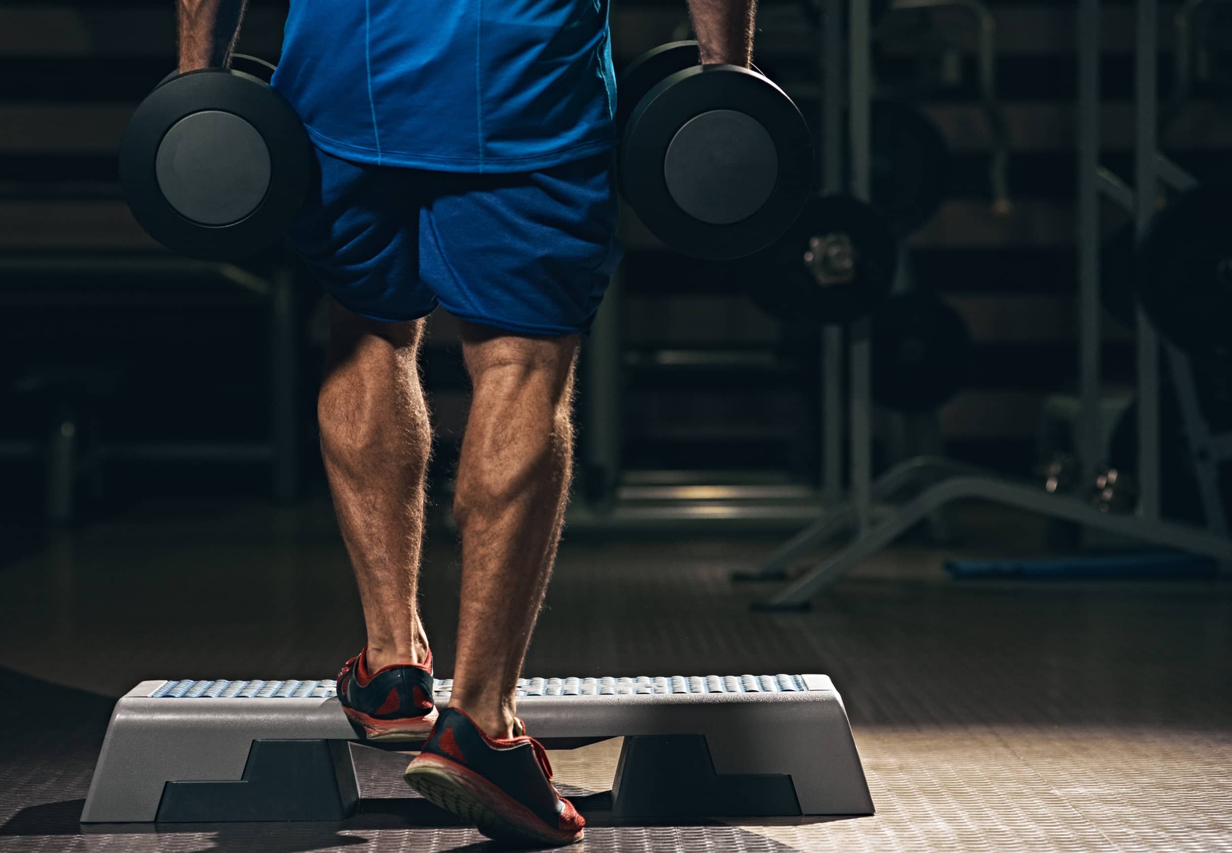 Seated or standing calf raises? - fitguide.blog